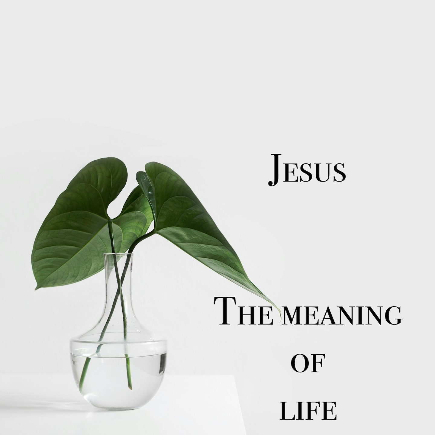 JESUS ALONE IS GOD CHURCH OF EUROPE